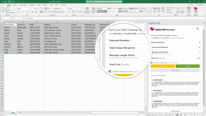 Microsoft Excel - Edgility